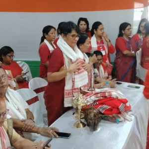 The Story of the All India Mahila Congress (AIMC) – All India Mahila ...
